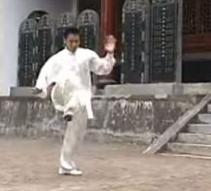 Pao Chui (1) | Tai Chi Notebook