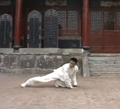 Pao Chui – Sweeps | Tai Chi Notebook