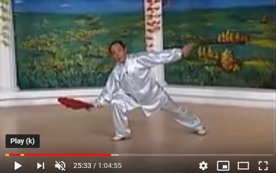 Kung Fu Fan | Tai Chi Notebook