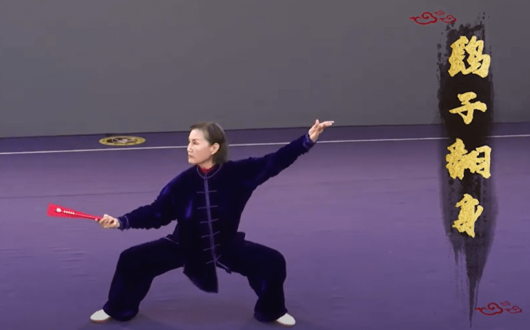 Yang-style 28-step Tai Chi Fan | Tai Chi Notebook